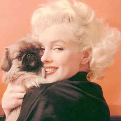 I brought you daffodils in a pretty string