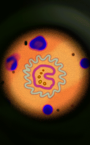 Unity Dojo Videogame Development Tips And Design Patterns Please Kill The Virus Update 2
