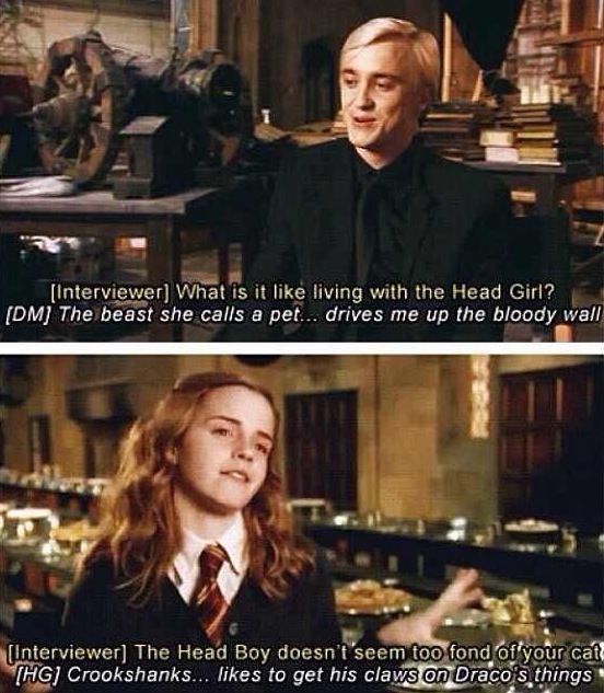 Dramione - Forever Together