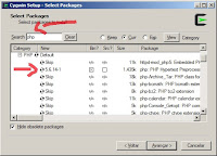 Francisco C Soares: Lighttpd PHP-FPM Cygwin