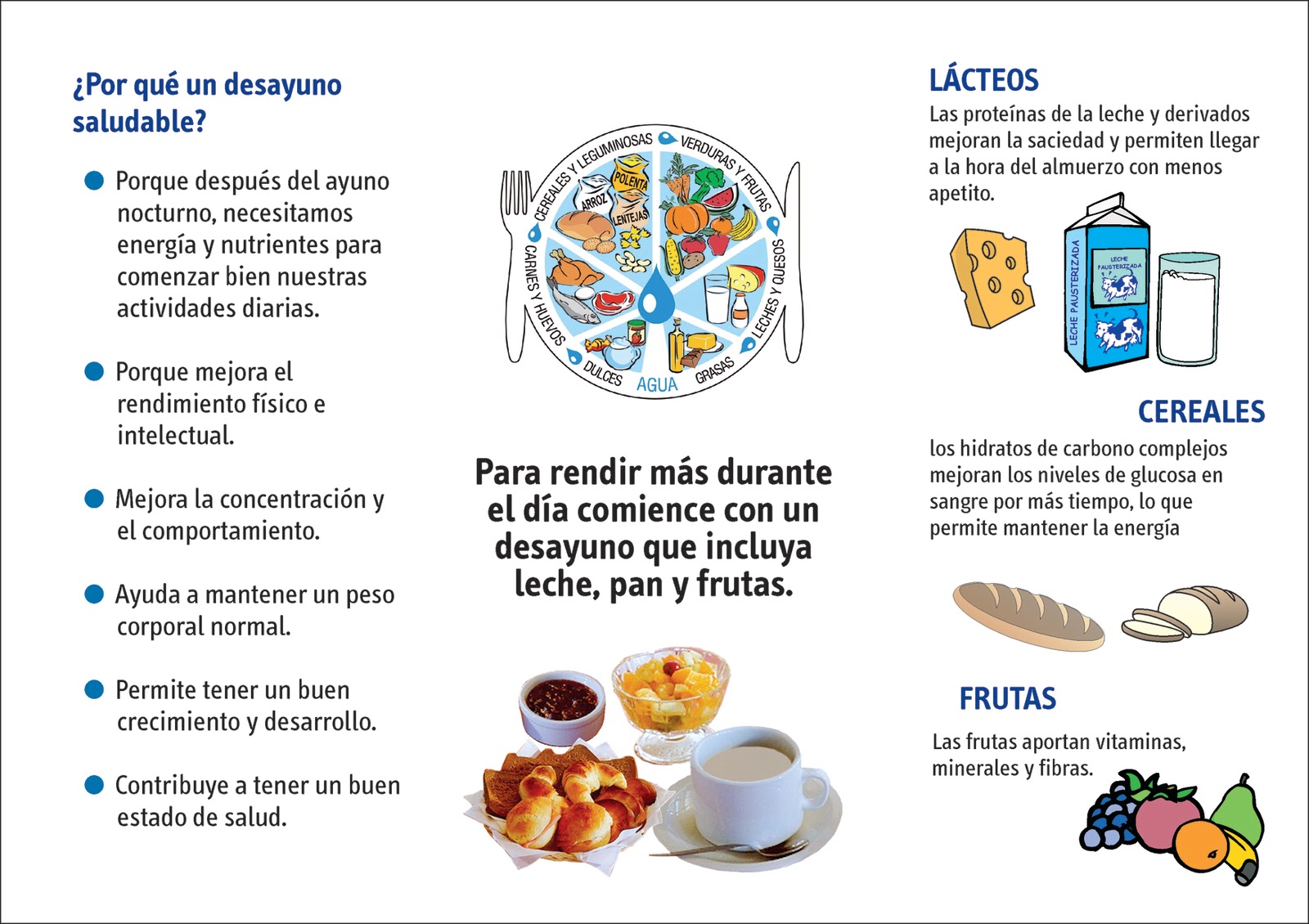 Folleto Consejos De Alimentacion Saludable Basados En El Plato Del B Images