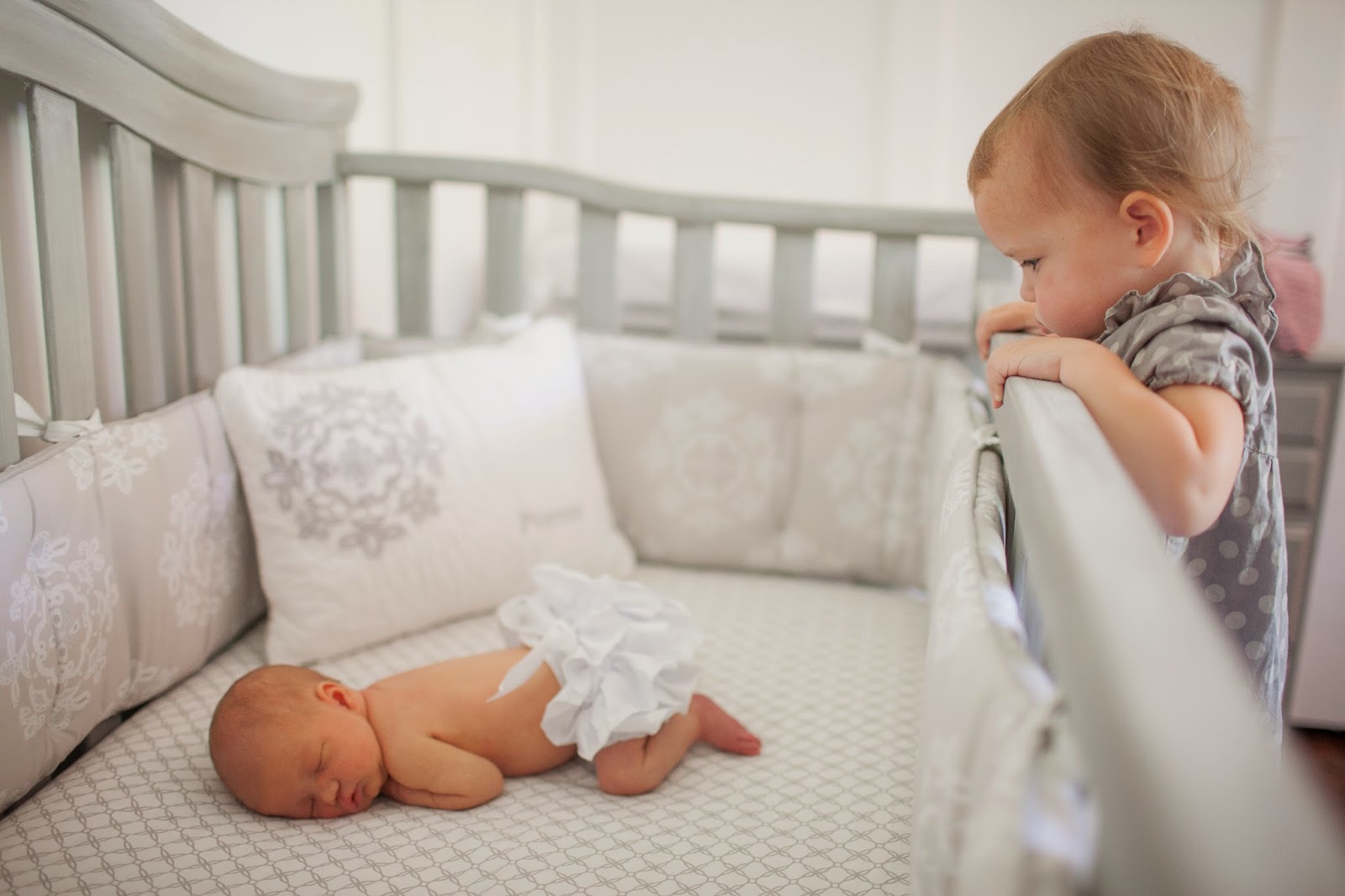 Porter Rae - This Whole House