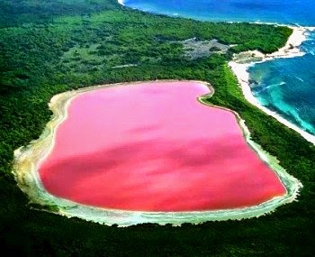Lago Hillier...el lago rosa ~ La Ventana Mundial