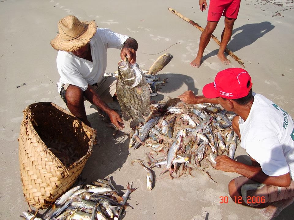 Tutóia 76 anos: PRATOS TÍPICOS
