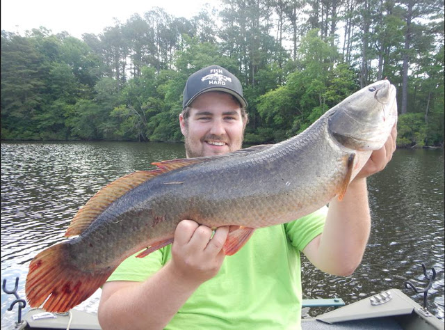 Peelin' Drag Extreme Fishing: Bowfin