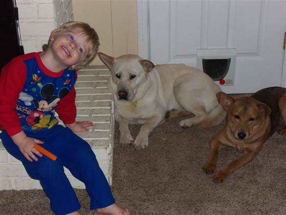 White Wolf : Bonded Canine Couple proves their Love was Real.