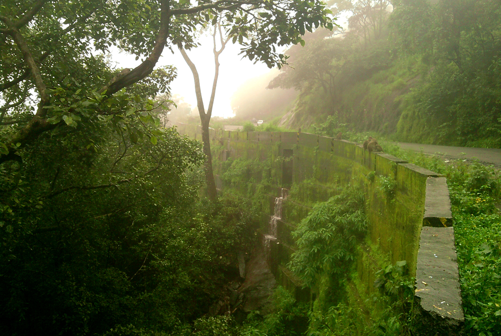 View my views: Thamarassery Churam - 04.09.2011