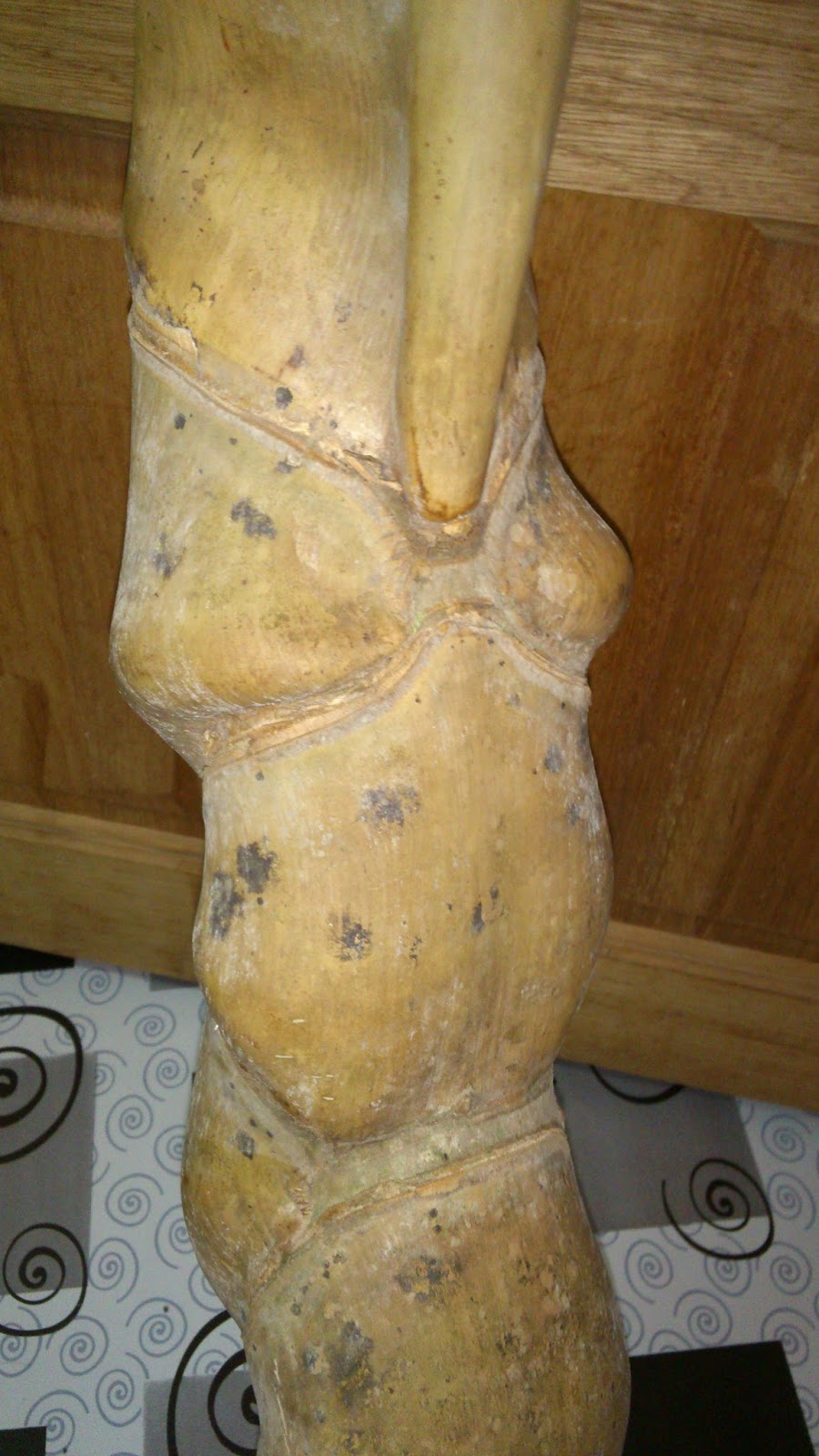 ZAMRUD TECHNOLOGY: Natural Unique & Rare (4) ~Pelbagai Kesenian Buluh ...