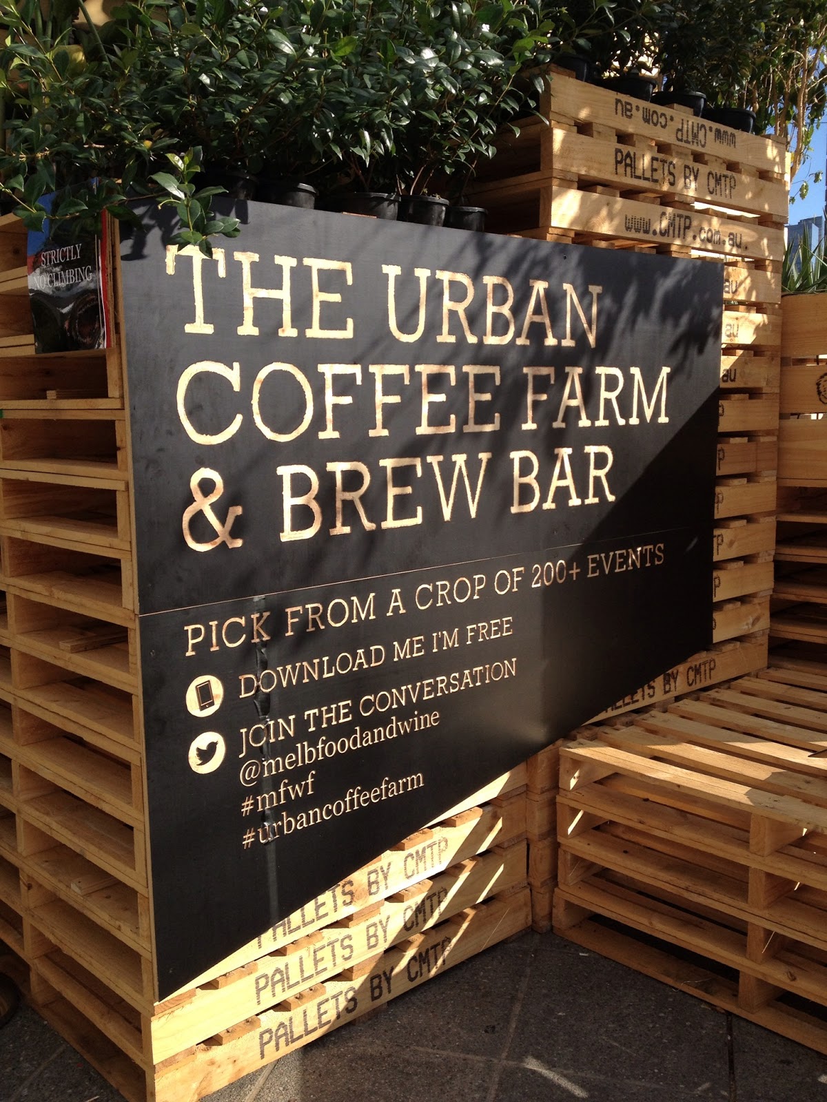 Samson Girl: The Urban Coffee Farm and Brew Bar