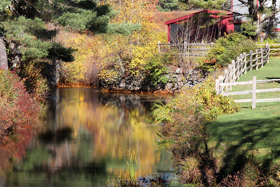 Magic of Fall on Cape Cod | Starfish