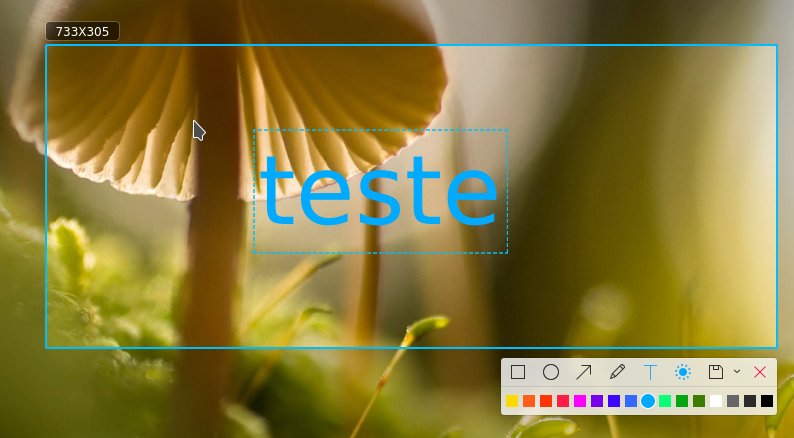 deepin-screenshot no Debian, Ubuntu e derivados