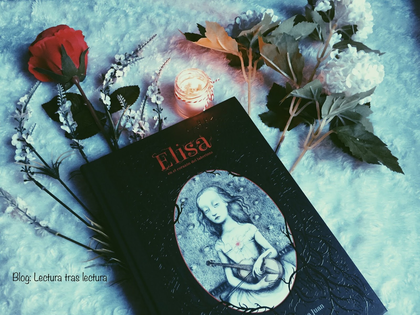 Lectura tras lectura