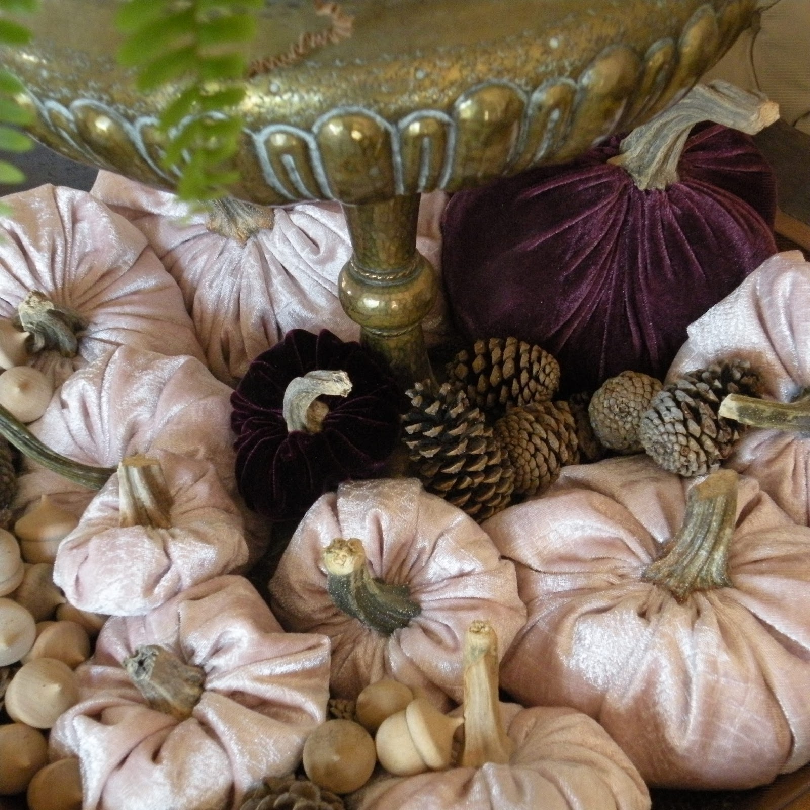 PURA VIDA: VELVET PUMPKINS