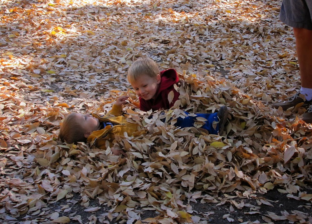 The Bell Curve of Life: Visiting Ron and Mary in Chico in November