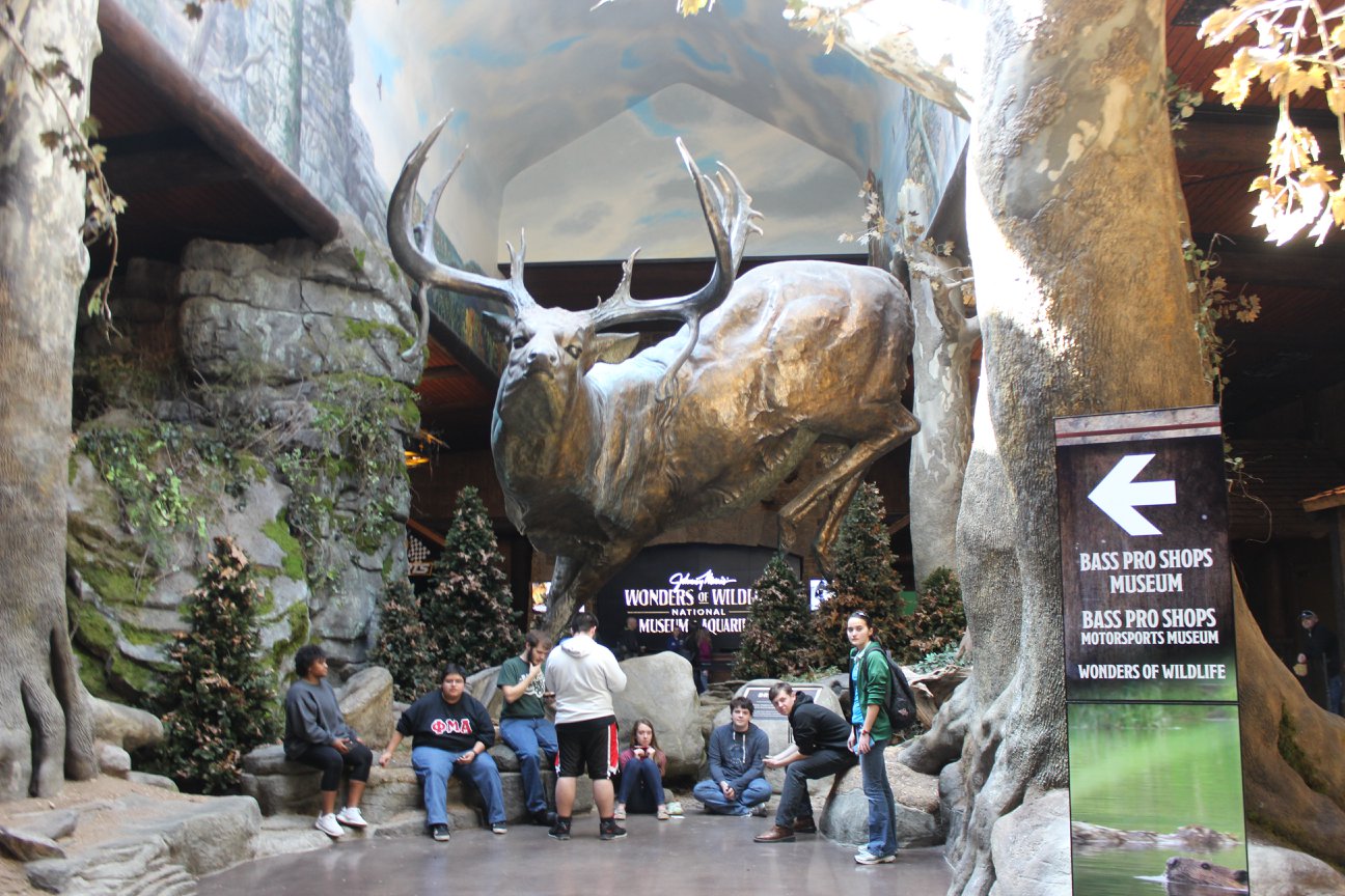 Play St. Louis: Wonders of Wildlife National Museum and Aquarium ...