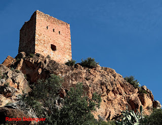BICHOS Y MAS VLC: DE PASEO POR ALMENARA: EL CASTILLO