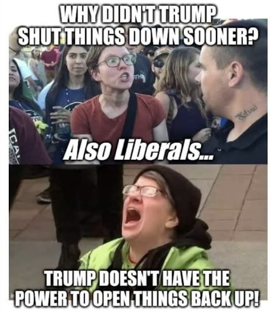 BigHominid's Hairy Chasms: PowerLine Week in Pictures: some selected images