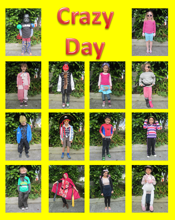Room 1 Halcombe School 2012: Crazy Day