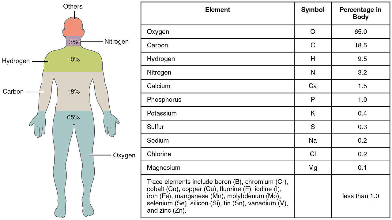 Ese punto azul pálido (Pale Blue Dot): 2015