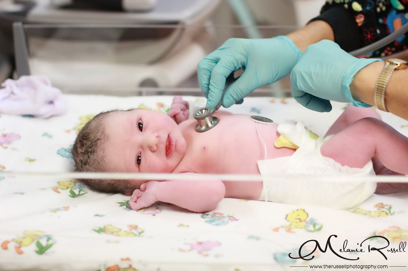 Brenda | A Birth Story