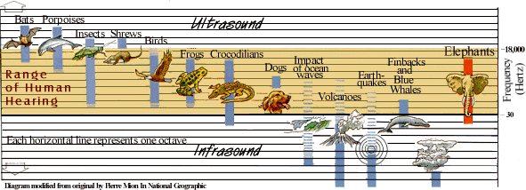Vents et Territoires: Les infrasons, une arme invisible et inaudible…