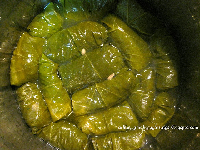 Your Girl for all Seasonings: Dolmas? Dolmades? Dolmathakia? Stuffed ...