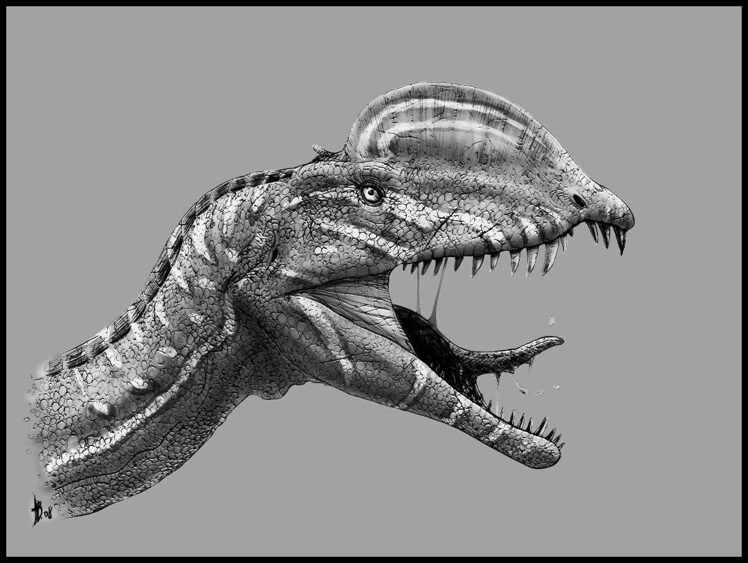 Híncame el diente... Sinosaurus | Dinosaurios (El Cuaderno de Godzillin)