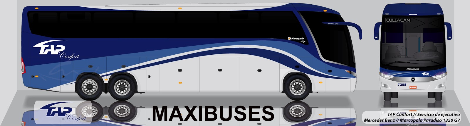 MAXIBUSES: TRANSPORTES Y AUTOBUSES DEL PACÍFICO (TAP)