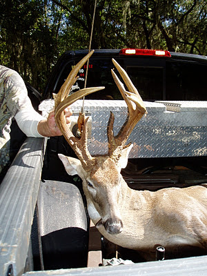 trophy-hunting: Three Monster Bucks from Florida for 2011!