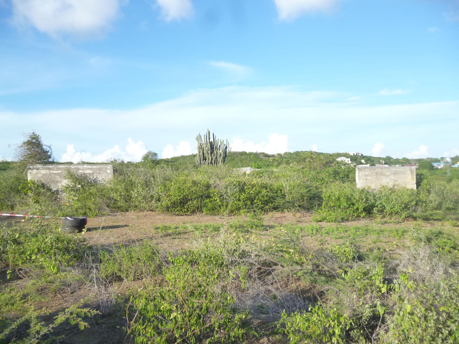 Hiking Curaçao - The Trails: Buriku trail - kust - Patrick (en foto's ...