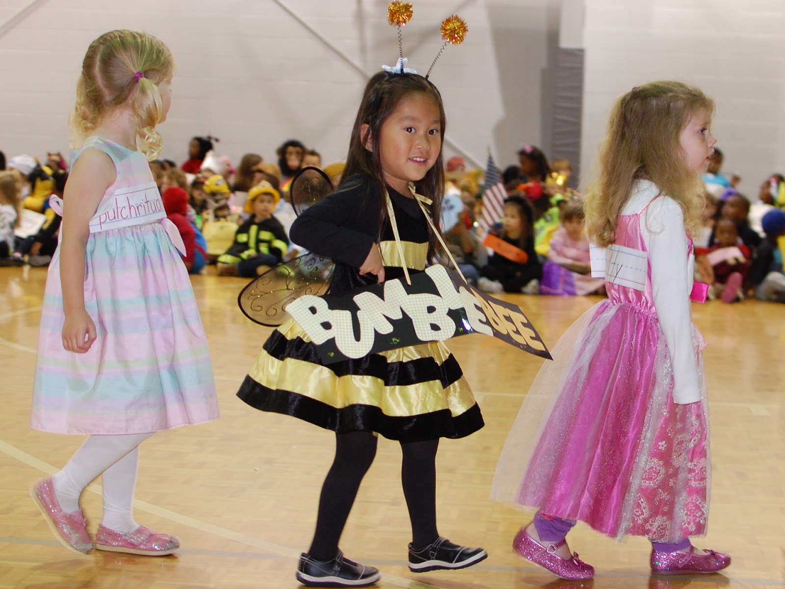 My Amazeing Journey: vocabulary parade