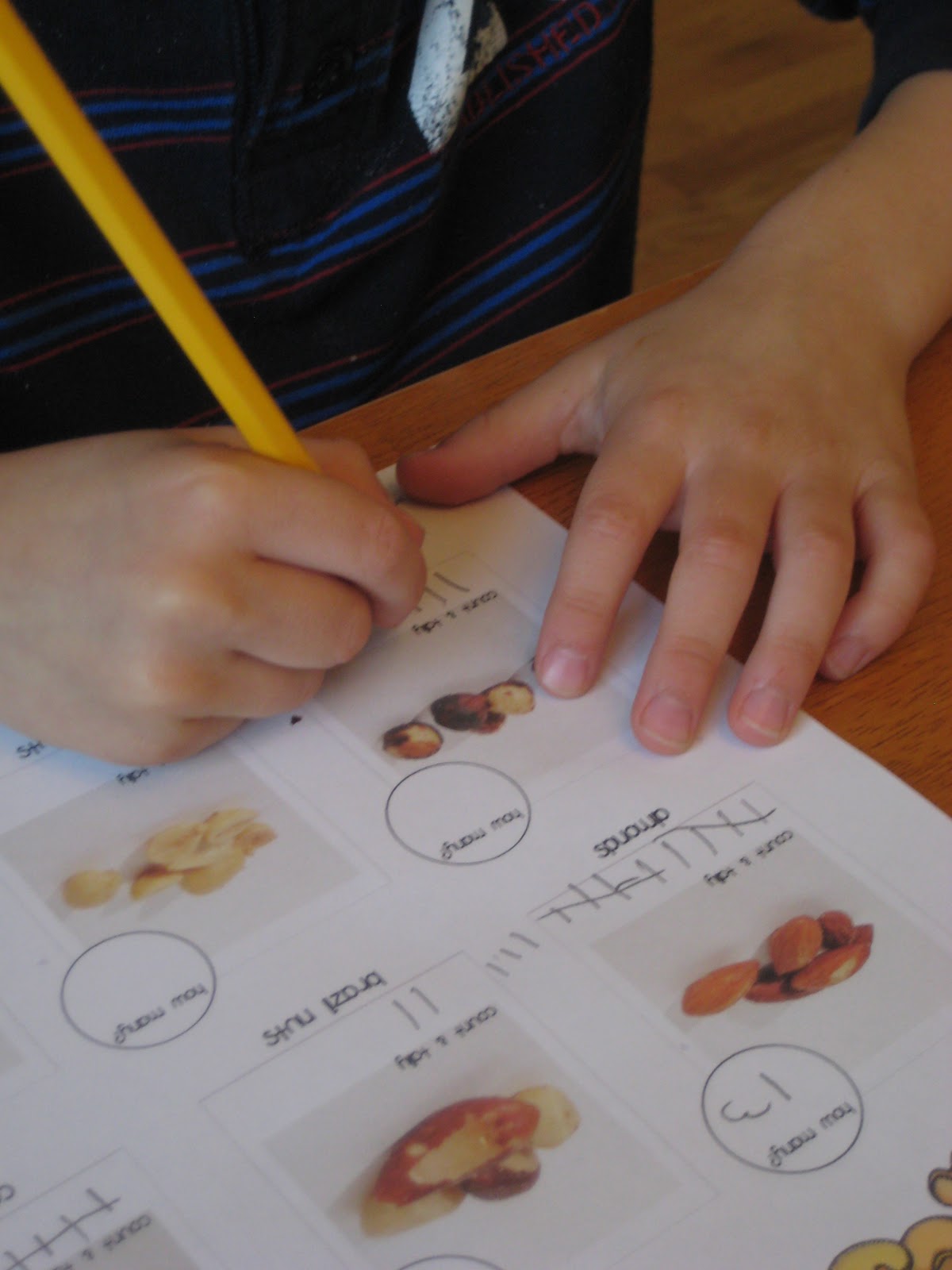 Relentlessly Fun, Deceptively Educational: GO NUTS! (Mixed Nuts Sort ...