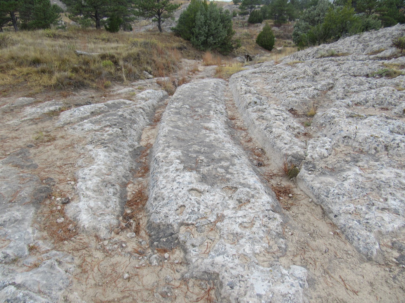 Like No Place On Earth: Wyoming's Famous Oregon Trail Ruts