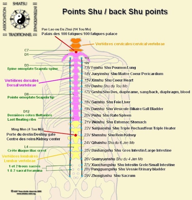 Acupuncture Treatment : Back Shu Points - Alarm Points