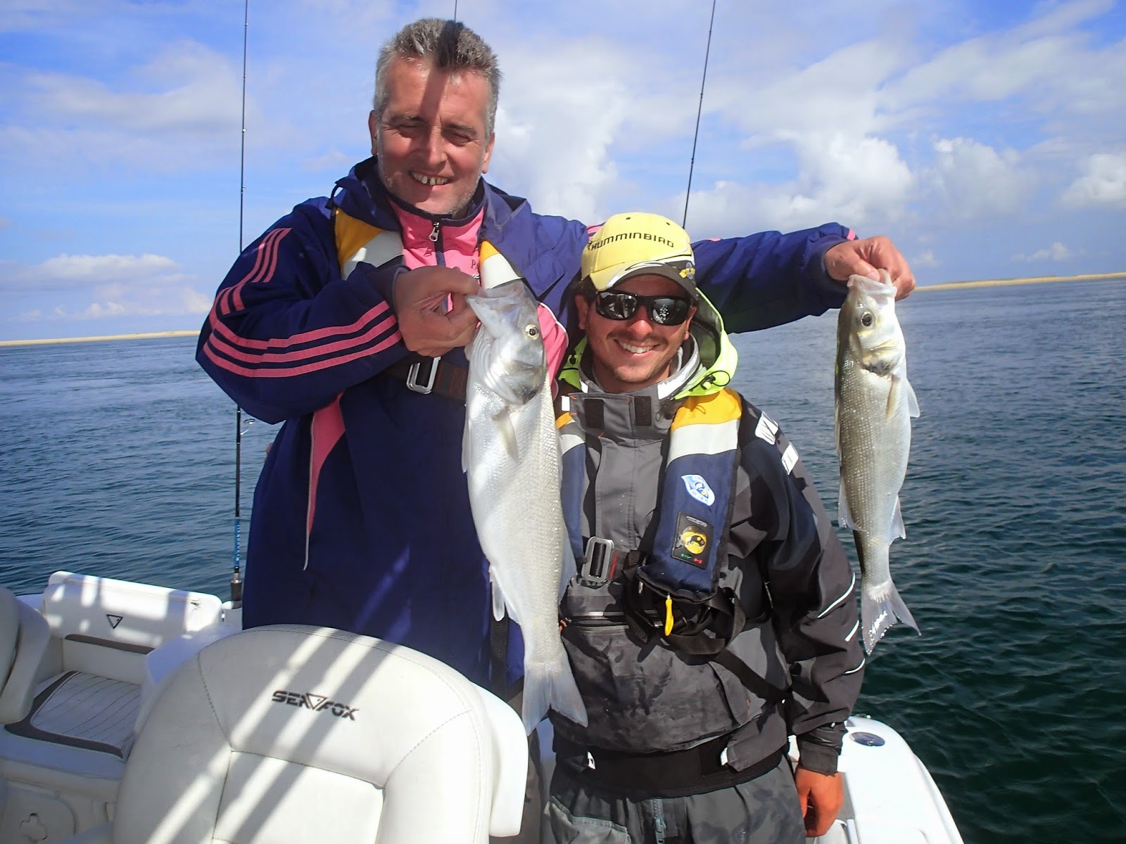 Masta'Fish guide pêche Bassin d 'Arcachon : quelques photos, Bars au ...