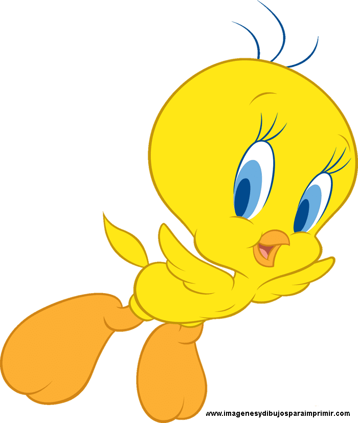 Piolin imagenes - Imagui