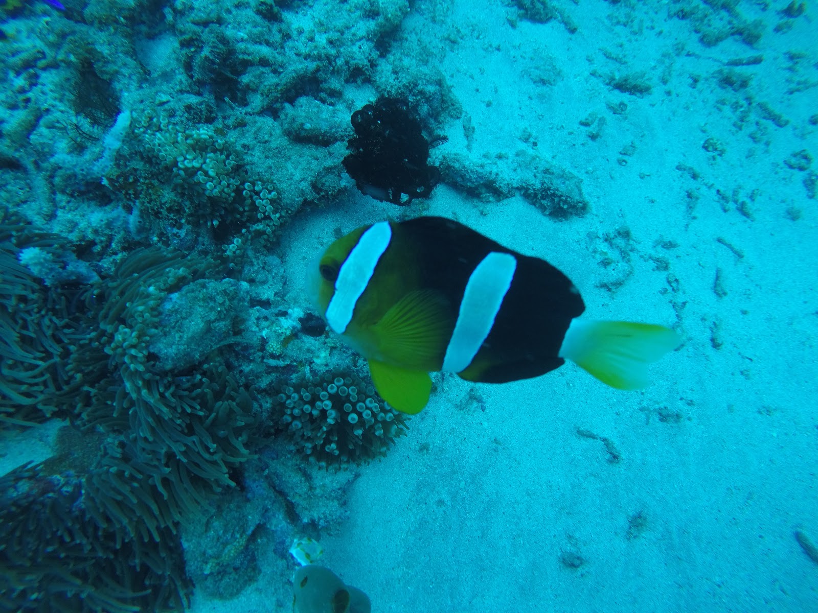 Reisebericht Indonesien (Bali und Lombok)