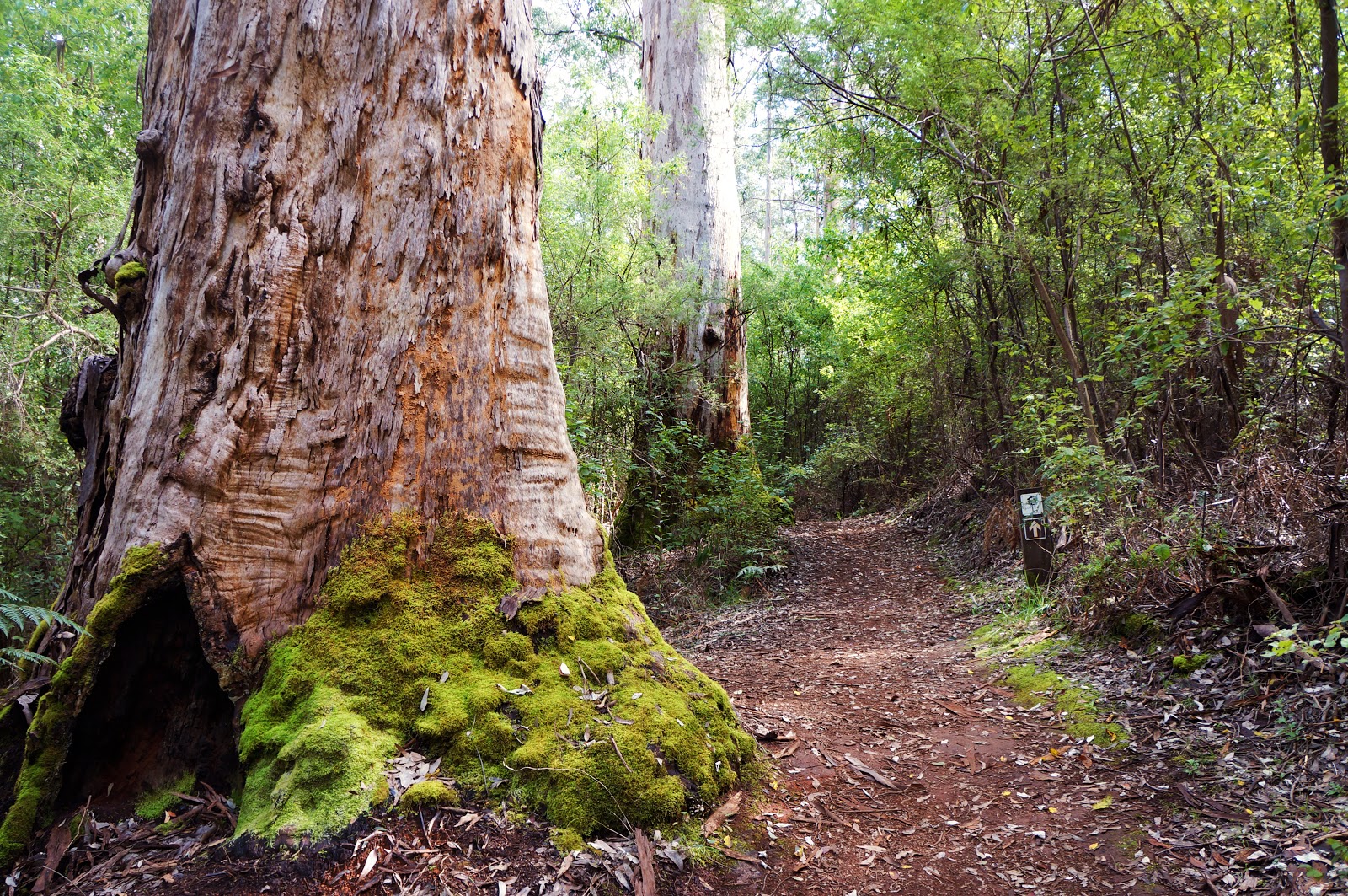 Gloucester Route (Gloucester National Park) ~ The Long Way's Better
