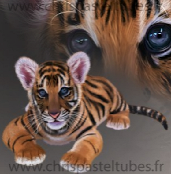 MON MONDE EN PSP: TAGS AND SCRAPKITS PTU 335