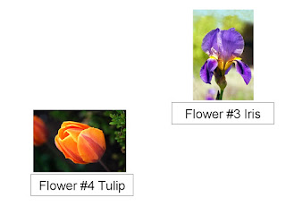 Wildflower Bouquets – Enjoy Simple Pleasures: Katrena's Indoor ...