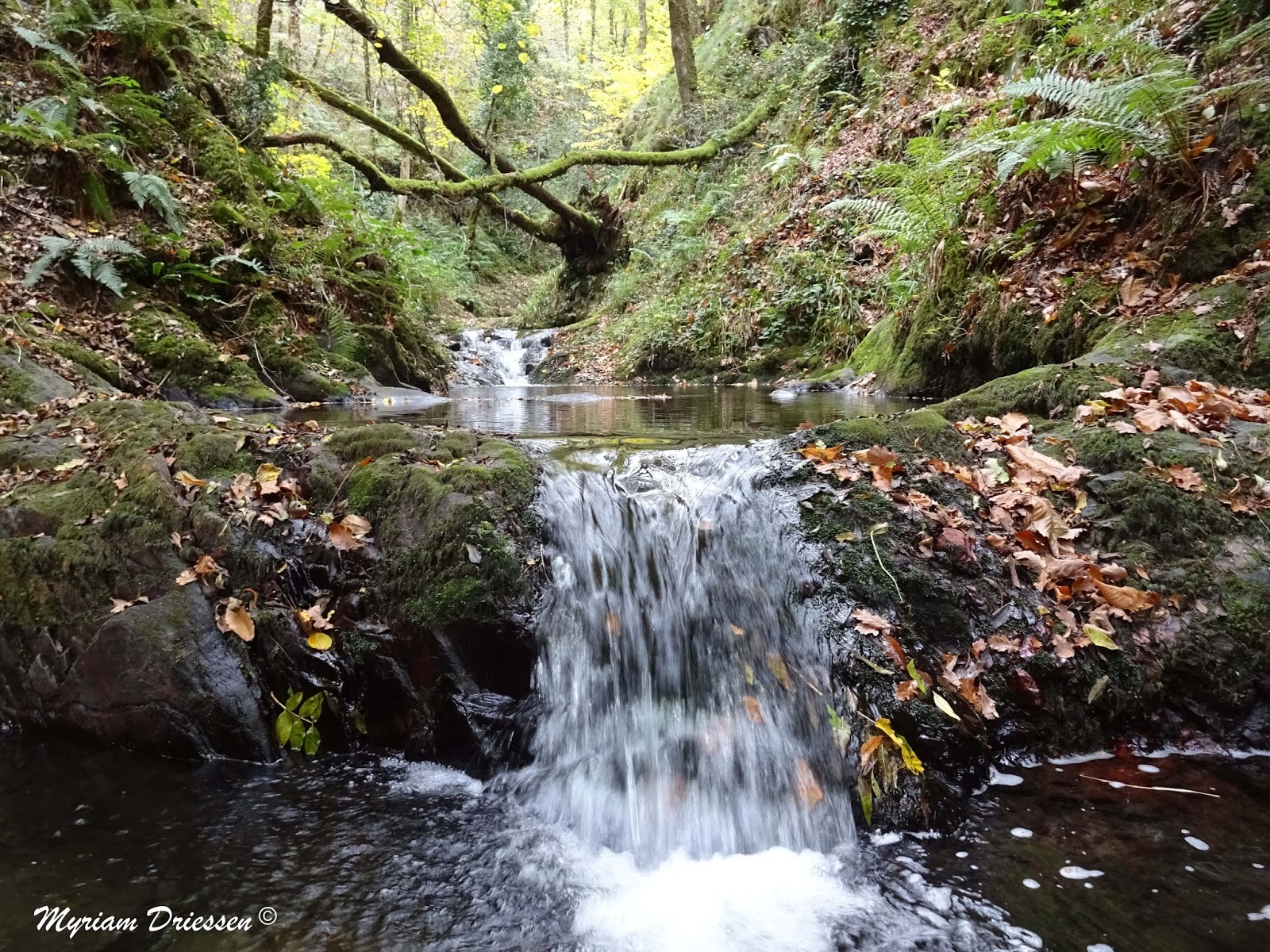 Gîte et découvertes de la vallée du Sant: Trek dans le ruisseau