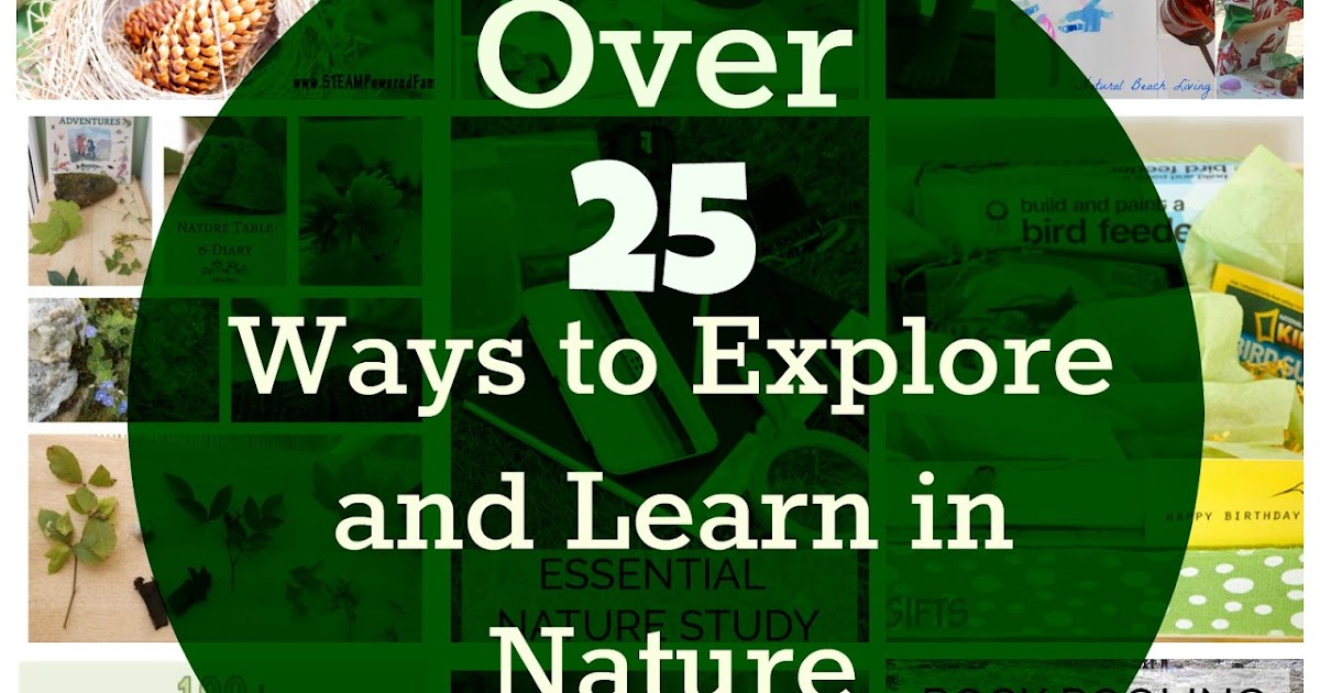 Share it! Science : Over 25 Ways to Explore and Learn in Nature