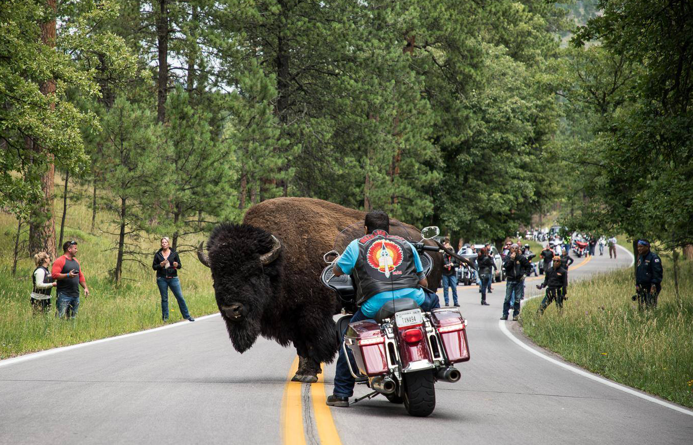 Just A Car Guy: 77th Sturgis Motorcycle Rally. Photo by Josh Kurpius.