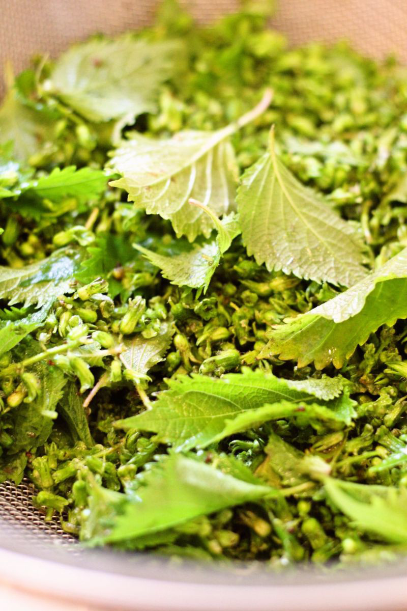 Perfectly imperfect : Salted Shiso Seeds