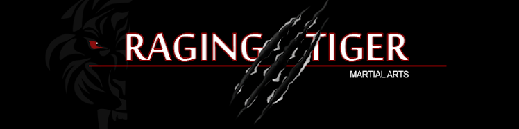 Raging Tiger Martial arts: March 2011