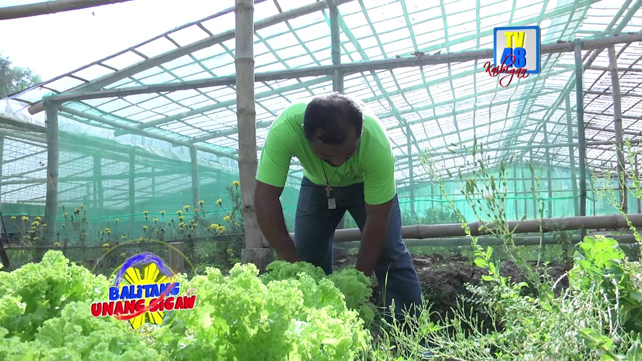 paghahalaman - philippin news collections