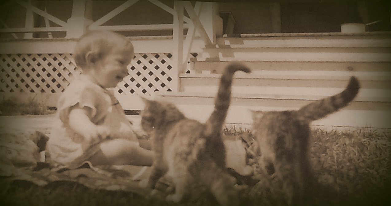 The Old Farmer's Daughter: Spring Time on the Farm