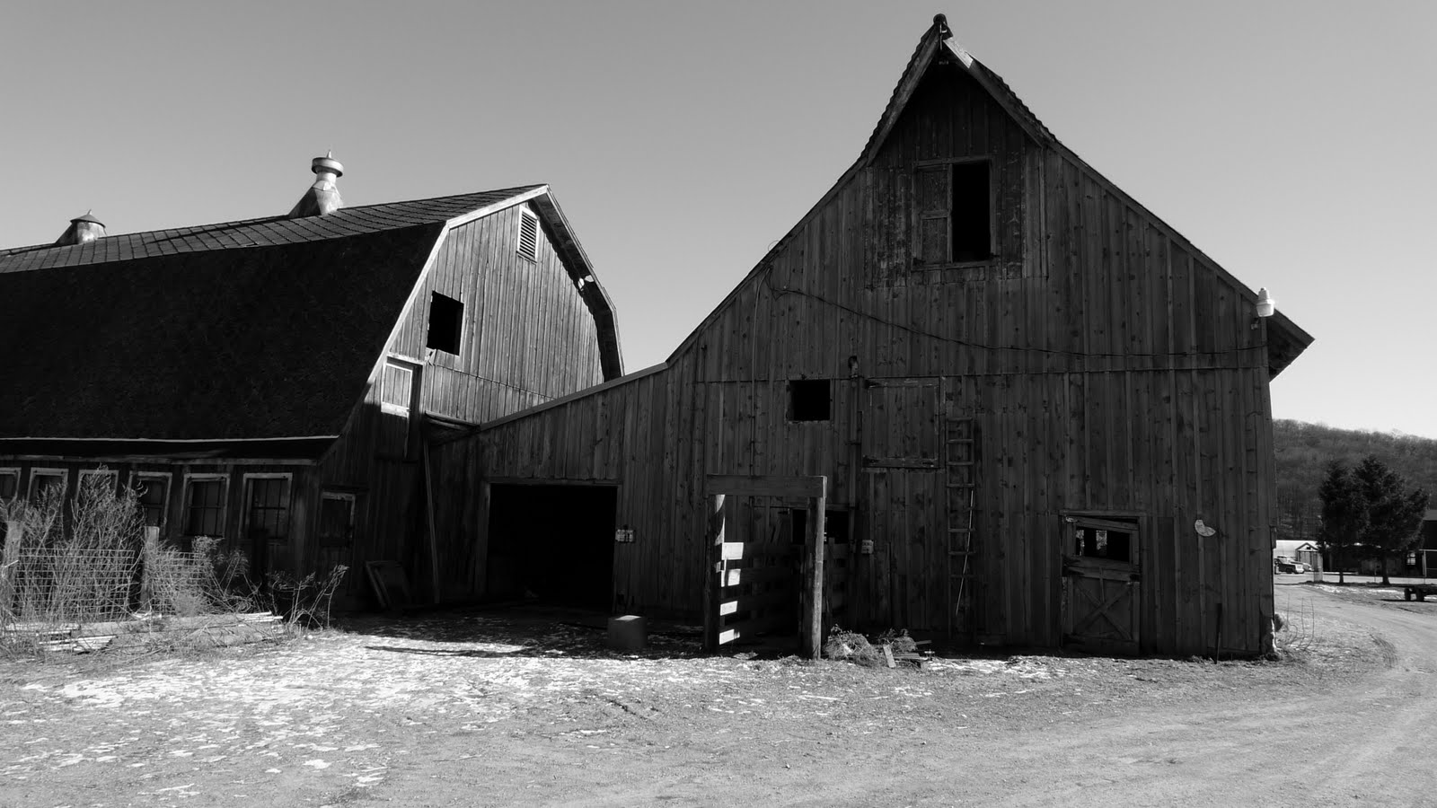 Me and My Camera: Ideal Farm