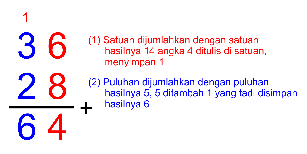 Bimbel IFE (IFE Little Newton): TAHAPAN MENGAJARKAN KONSEP DASAR ...