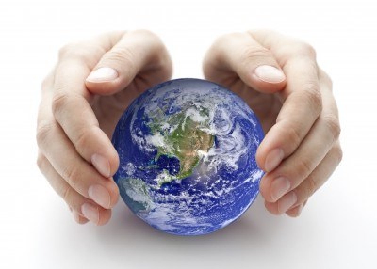 insurance online auto